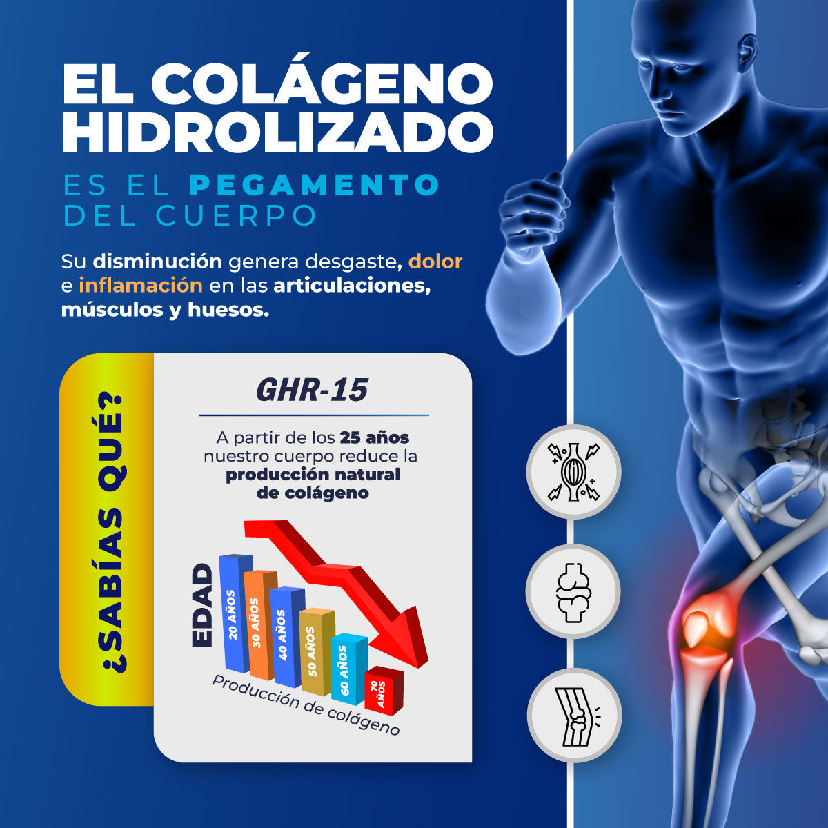 GHR-15 Efervescente Colágeno Hidrolizado - Market oficial – Bienestar ...